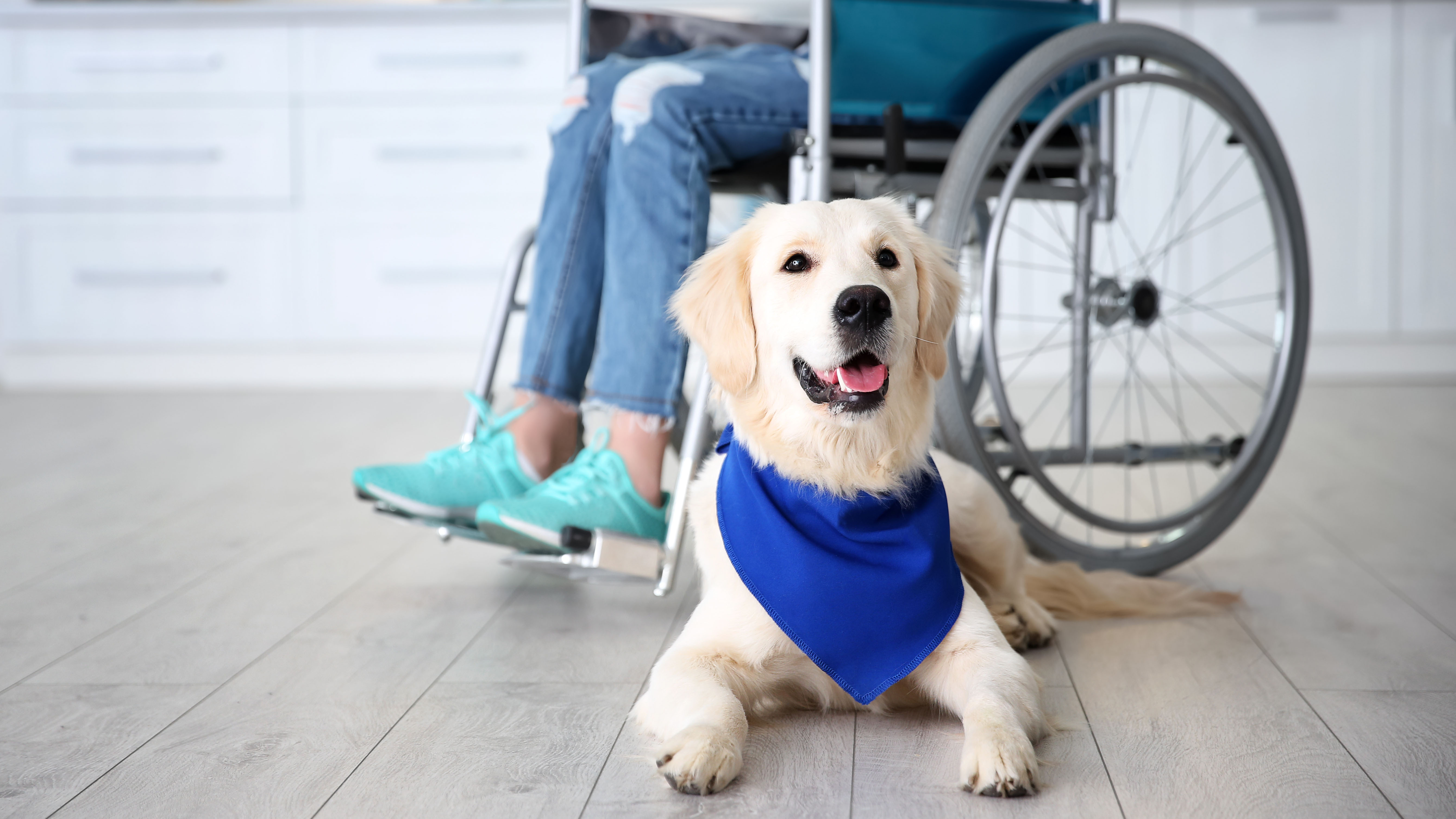 The Benefits of Assistance Animals at Rental Communities - The ...